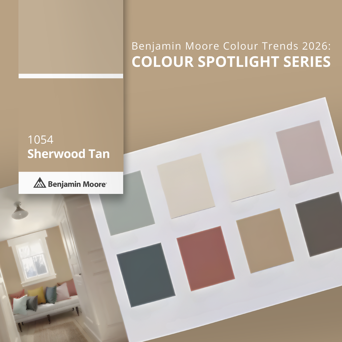 Sherwood Tan 1054: Benjamin Moore Colour Trends 2026 | Barrydowne Paint